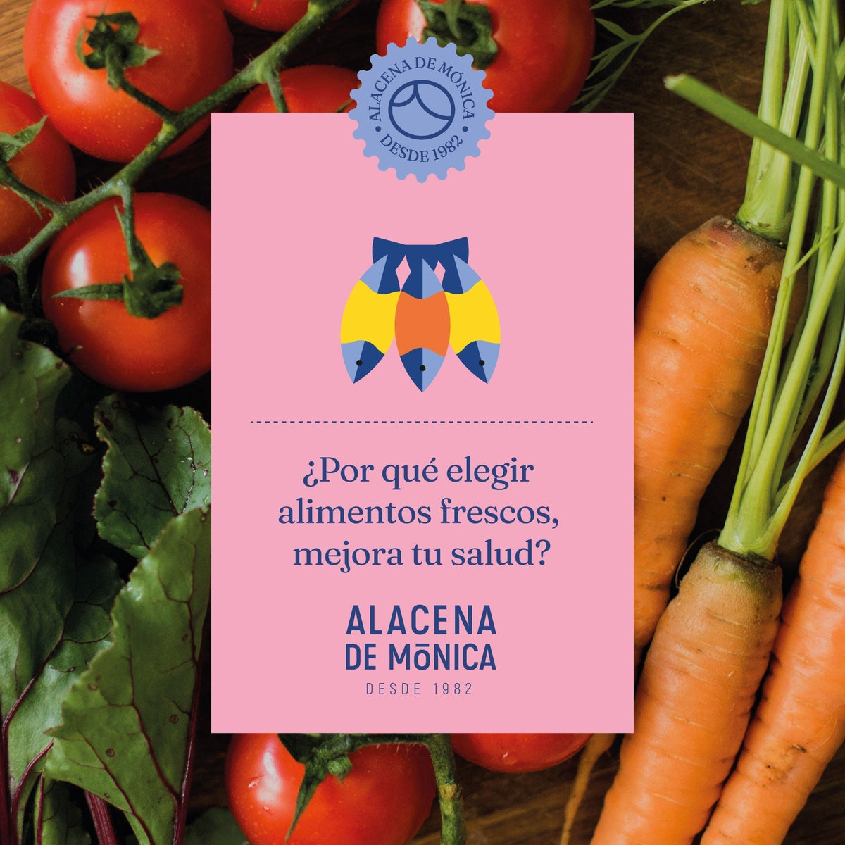 ¿Por qué elegir alimentos frescos, mejora tu salud? – Alacena de Mónica