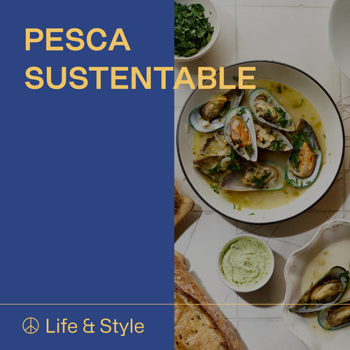 Pesca Sustentable: ¿Qué es y Por Qué es Vital para Nuestros Océanos ...