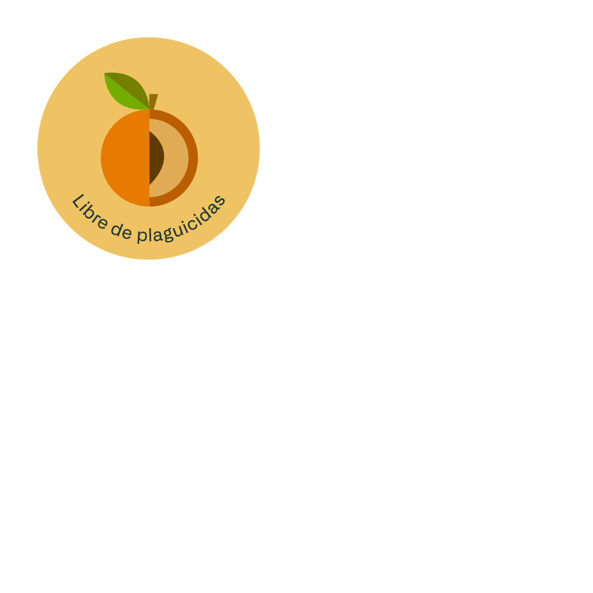 Lechuga Italiana Orgánica – Alacena de Mónica